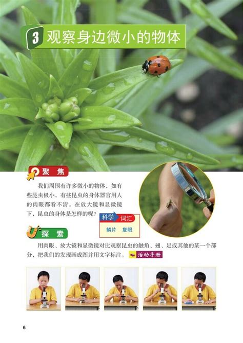 13 观察身边微小的物体教科版2019年审定六年级科学上册课本北师大版小学课本