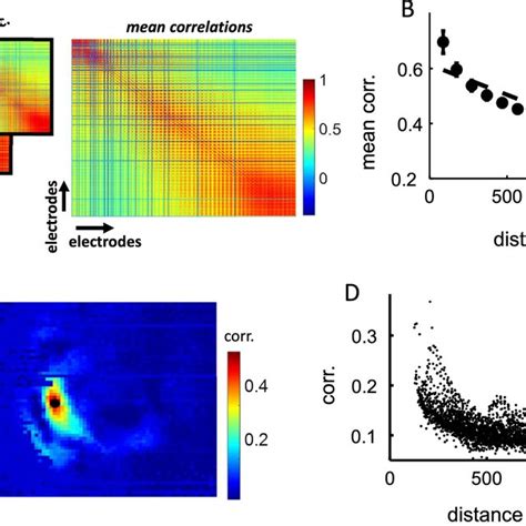 Spatial Distribution Of Correlations During Spiral Waves A Pairwise Download Scientific