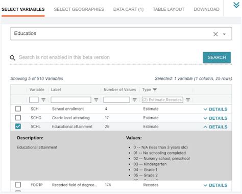 using the us census api for data analysis a beginner s guide