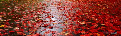 23 Free Linkedin Backgrounds And Cover Photos The Muse