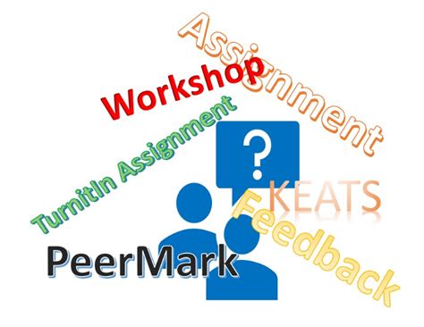 Peer Marking Digital Education
