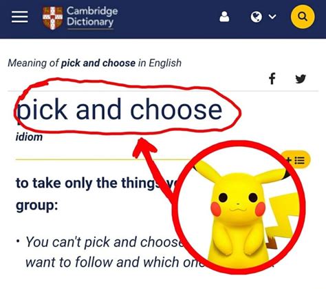 Cambridge Dictionary Meaning Of Pick And Choose In English Pick And