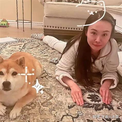 鹿晗关晓彤，檀健次吴签，章子怡范冰冰，邓超和董洁，赵露思，郑爽 最新八卦汇总 知乎
