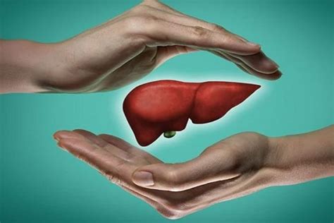 लीवर सिरोसिस है साइलेंट किलर अंतिम स्टेज में दिखाई देते हैं इसके लक्षण
