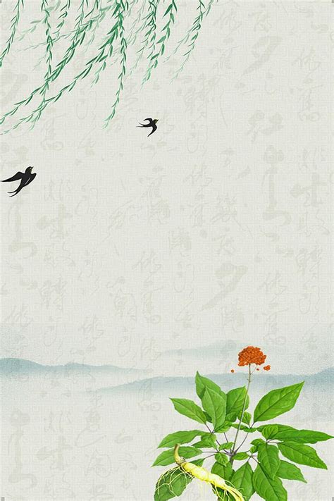 养生馆滋补珍品背景图片 养生馆滋补珍品背景素材图片 千库网
