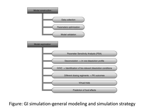 Gastrointestinal Absorption Simulation Using In Silico Methodology By Dr Bhupen Kalita Gips