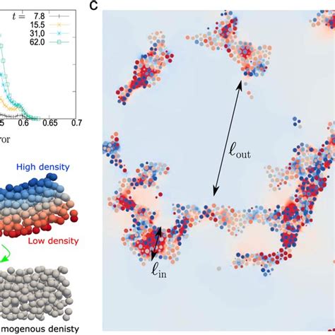 Coarsening Behaviour Of Network Forming Phase Separation Of A Colloidal Download Scientific