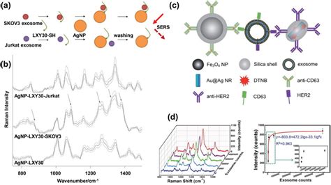A Schematic Diagram Of Selective Sers Detection Of Evs Derived From Download Scientific