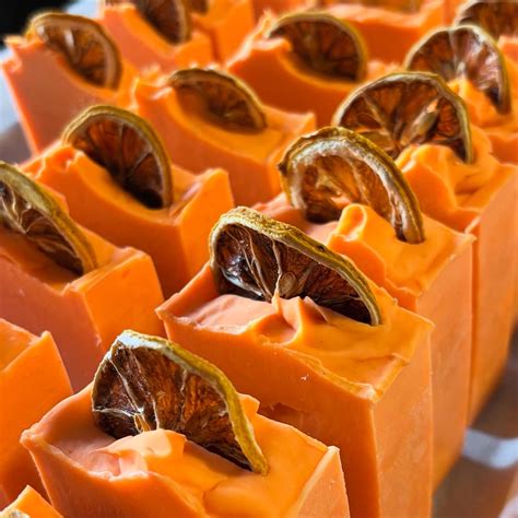 Orange And Ginger Sprinkle Labs