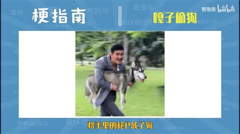 嘎子偷狗是什么梗【梗指南】 哔哩哔哩