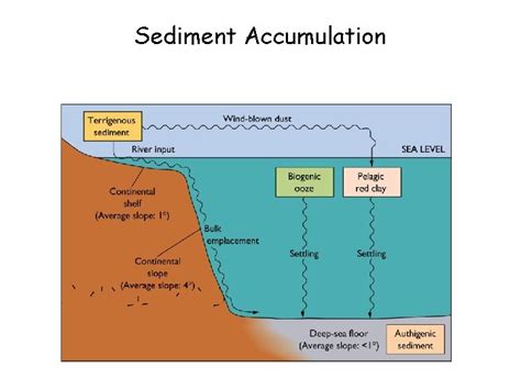CHAPTER Marine Sediment Classification A Shape Size