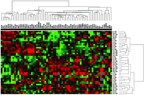 Unsupervised Hierarchical Clustering Of Paired Core Biopsy And Surgical Download Scientific