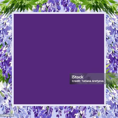 등나무 꽃 꽃의 가지와 수채화 사각형 프레임 봄 라일락 꽃 보라색 배경에 푸른 식물과 손으로 그린 그림 0명에 대한 스톡 벡터 아트 및 기타 이미지 Istock