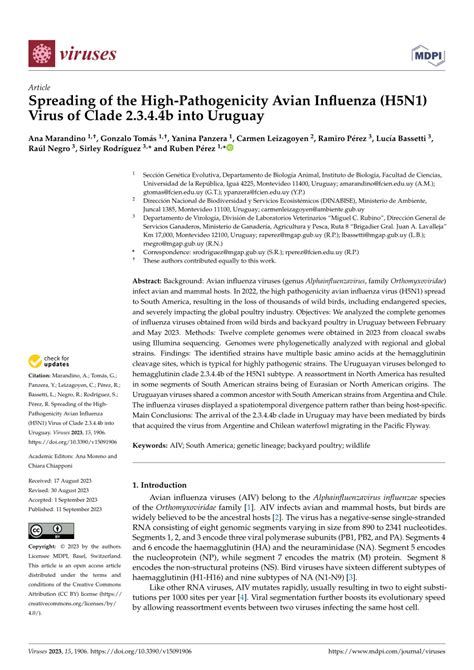 Pdf Spreading Of The High Pathogenicity Avian Inﬂuenza H5n1 Virus Of Clade 2 3 4 4b Into Uruguay