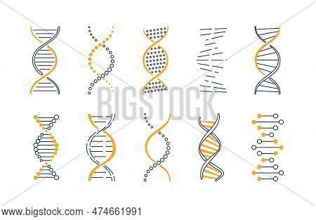 Dna Color Icons Set Vector Photo Free Trial Bigstock