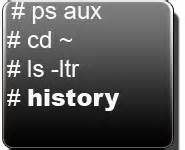Linux Bash History Expansion Examples You Should Know