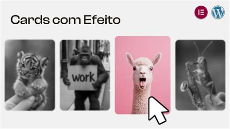 efeitos interativos com o mouse em cards no wordpress elementor css hover effects youtube