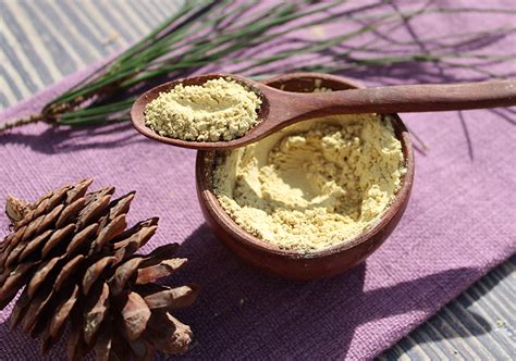 Benefits Of Pine Pollen For Men What New Research Says