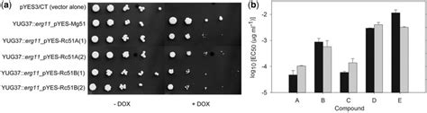 A Growth Of Saccharomyces Cerevisiae Strain Yug37 Erg11 Transformed Download Scientific