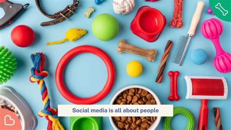 Estrategia De Redes Sociales Sobre Juguetes Para Mascotas
