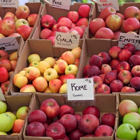 How Many Plums In Pound Cup Quart