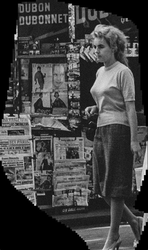 关注vx公众号：纯素材，不定期分享免费设计素材（懂得都懂），异形裁切图片照片拼贴元素 57png 花瓣网