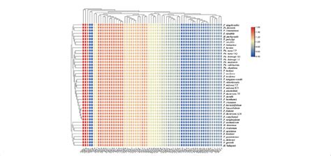 The Relative Synonymous Codon Usage Rscu Values Of All Merged Cds For
