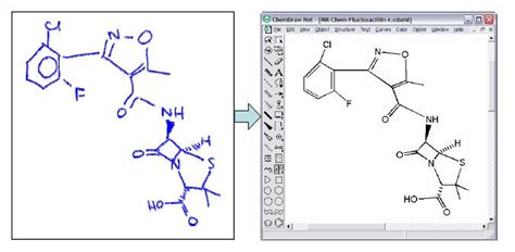 A Hand Drawn Box And Pointer Diagram B Clps Interpretation Download Scientific Diagram