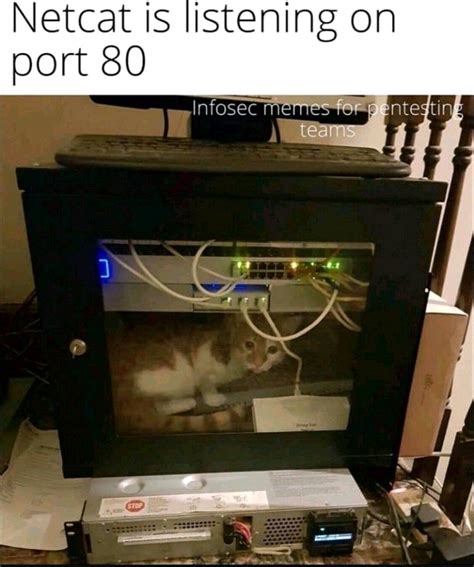 Netcat Ncat In A Server Rack Zp Enterprises