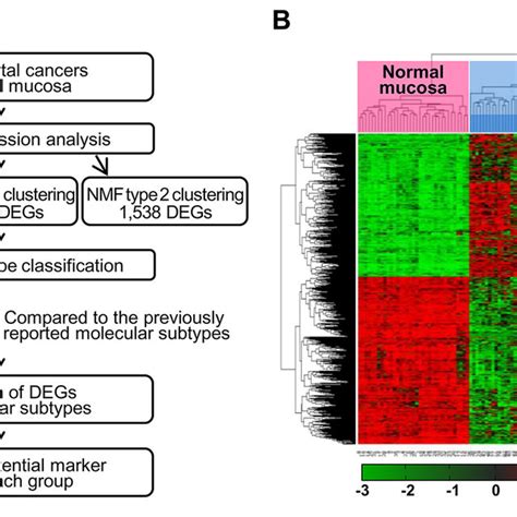 Workflow Overview Of Gene Expression Based Molecular Classification Download Scientific
