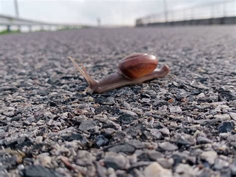 รูป กังหันลมเขายายเที่ยง Wongnai