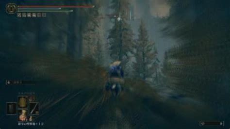 ドロップ装備 墓守鳥の黒羽鎧 ＊血のアマリリス Elden Ring Shadow Of Erdtree Dlc エルデンリング攻略