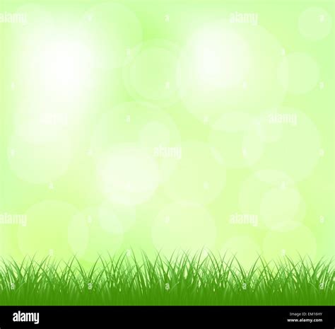 Natural Light Green Grass Background Stock Vector Image And Art Alamy