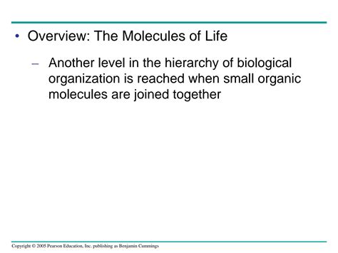 Solution Chapter 5 The Structure And Function Of Macromolecules