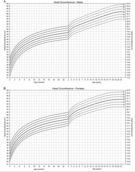 Who Head Circumference Growth Chart