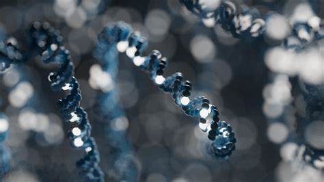 The Landscape Of Genomic Structural Variation In Indigenous Australians