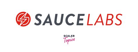 Top 12 Software Testing Tools For 2023 Scaler Topics