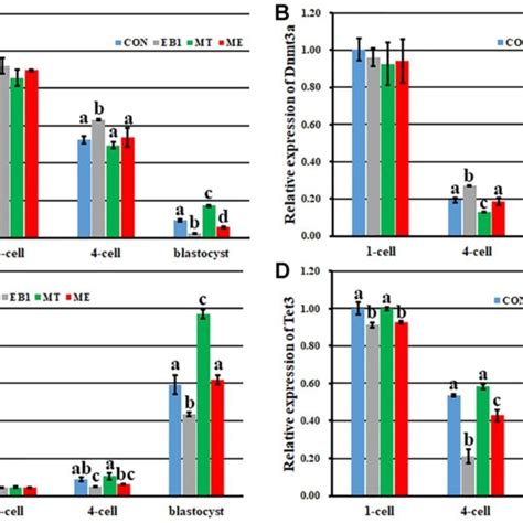 Effect Of Melatonin On The Expression Of Antioxidant And Apoptosis Download Scientific Diagram