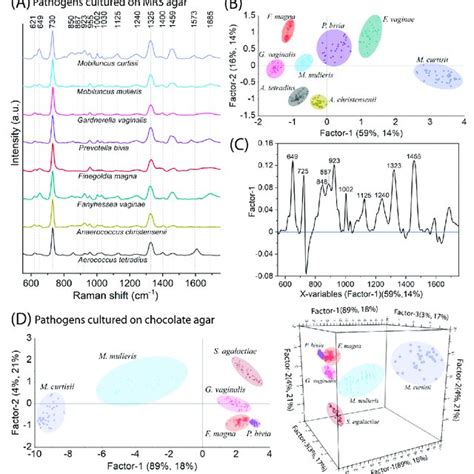 The Results Of Plsr Analysis In The Form Of Score Plots And X−loading