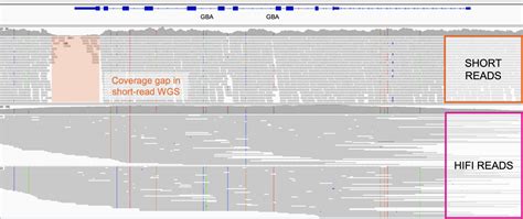 Sequencing 101 Sequencing Coverage Pacbio