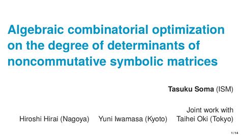 Algebraic Combinatorial Optimization On The Degree Of Determinants Of