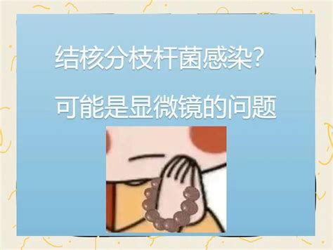 结核分枝杆菌感染：显微镜下的真相