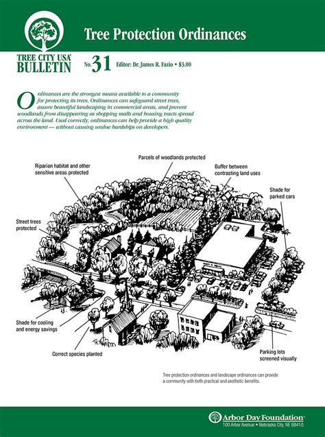 Tree Protection Ordinances Arbor Day Foundation Buy Trees Rain Forest Friendly Coffee