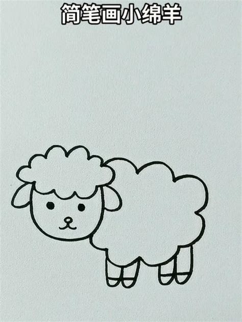 绵羊简笔画怎么弄（流行17张） 简笔画图片大全