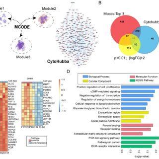 Integrated Bioinformatics Analysis And Functional Enrichment Analyses Download Scientific