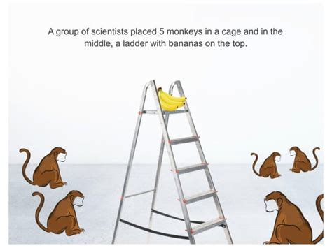 5 Monkeys Experiment Pgp Viva Vvit Converted Pdf