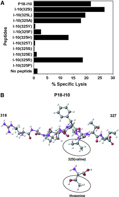 Figure 1 From Molecular Analysis Of Tcr And Peptide Mhc Interaction Using P18 I10 Derived