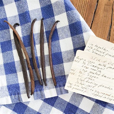 Vanilla Bean Profiles Main Menu Indrivanilla