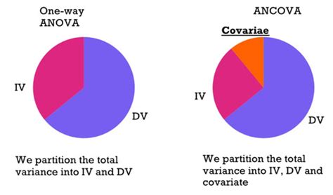 Rds Lecture 6 Ancova And Factorial Anova Flashcards Quizlet