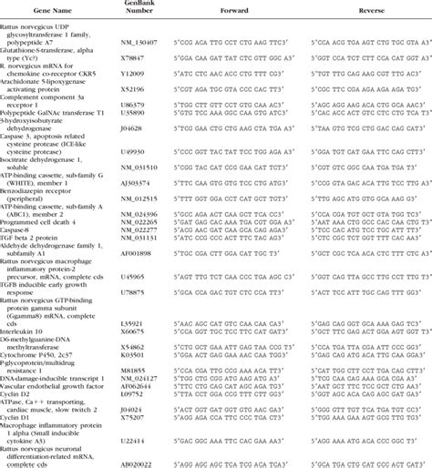 Gene Specific Primer Sequences For Real Time Pcr Download Table